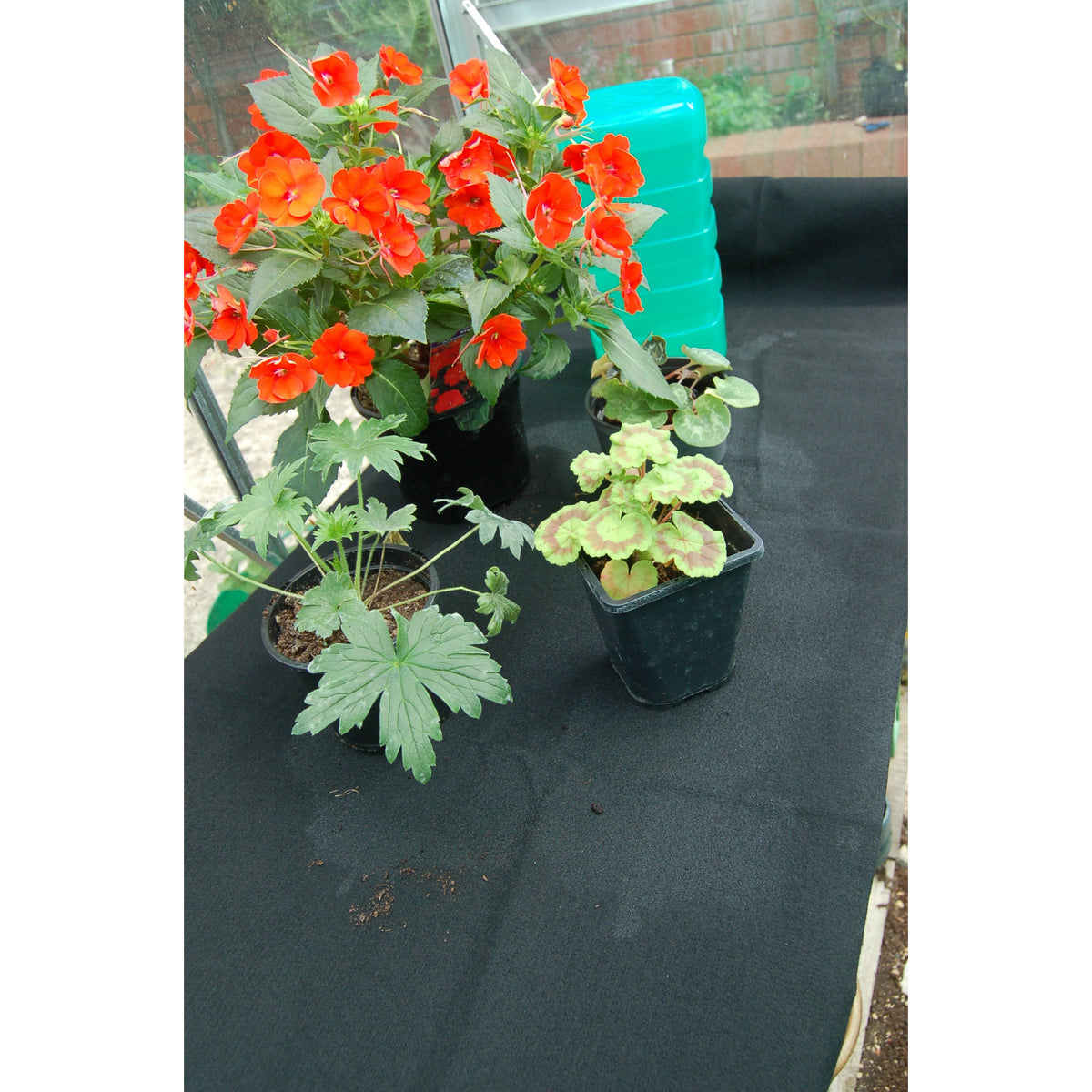 Capillary Matting By the Metre (0.53m) – Pest Free Gardening