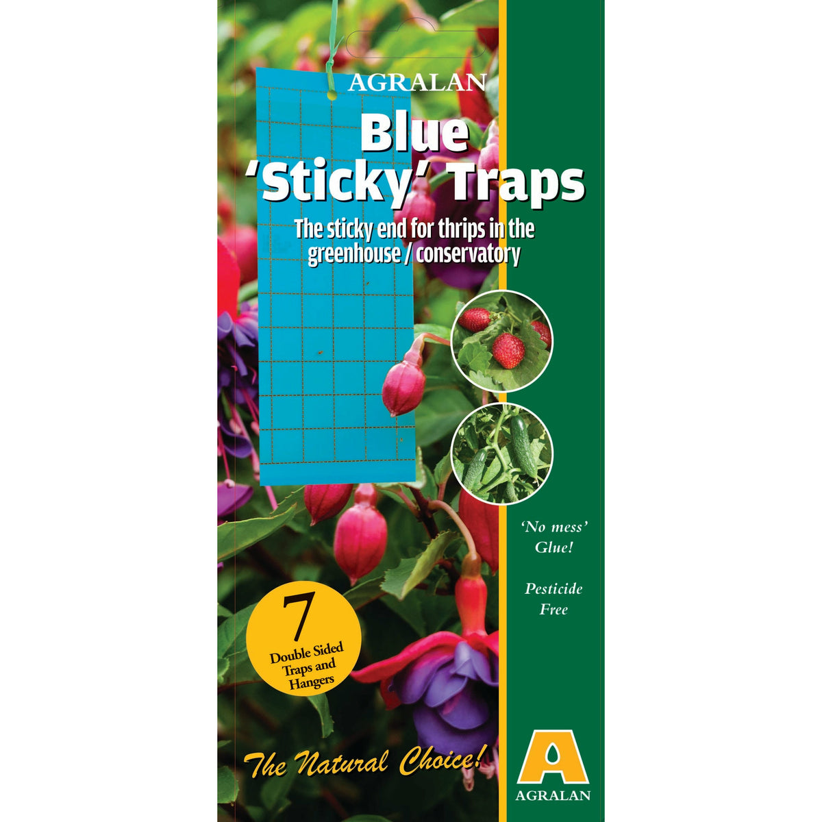 Blue Sticky Traps for Thrips – Pest Free Gardening